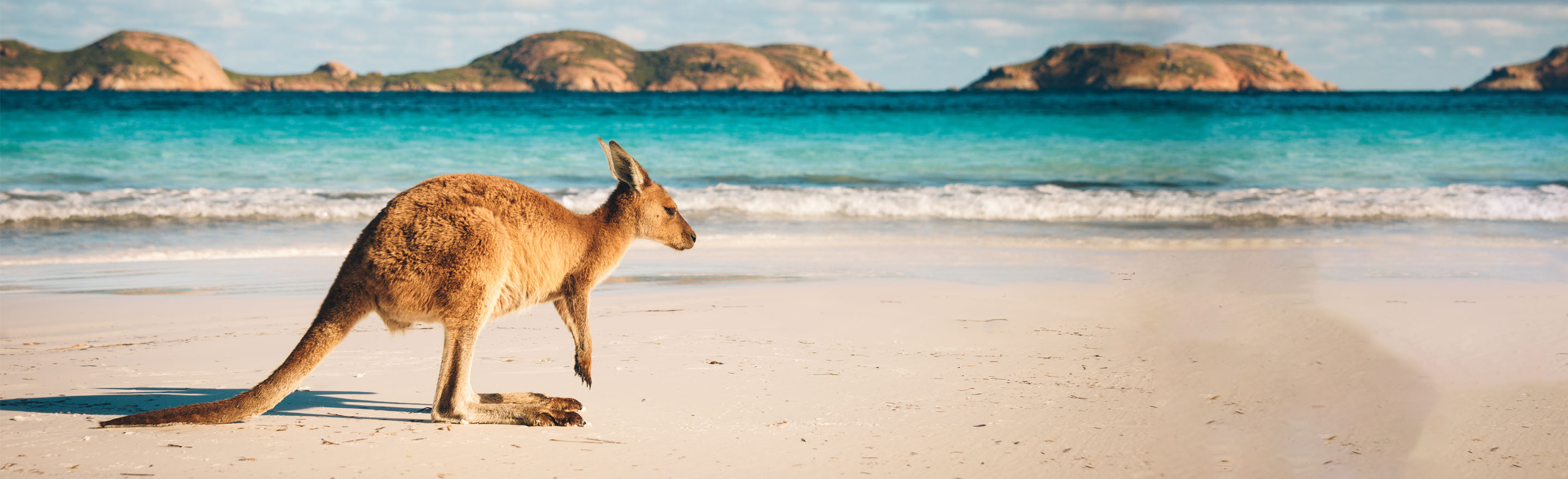 Atlas Crate Australia Crate