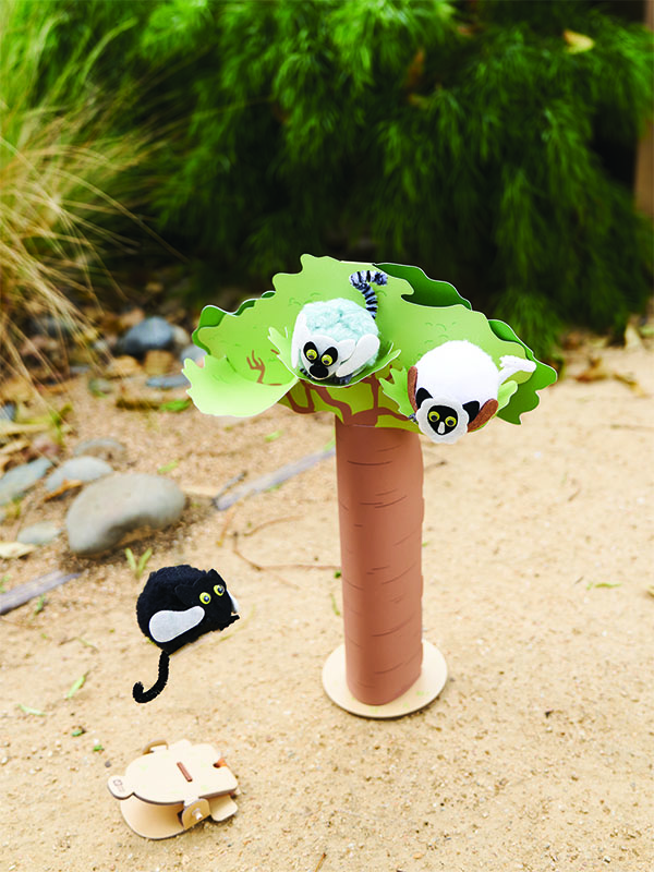 Atlas Crate Madagascar Crate