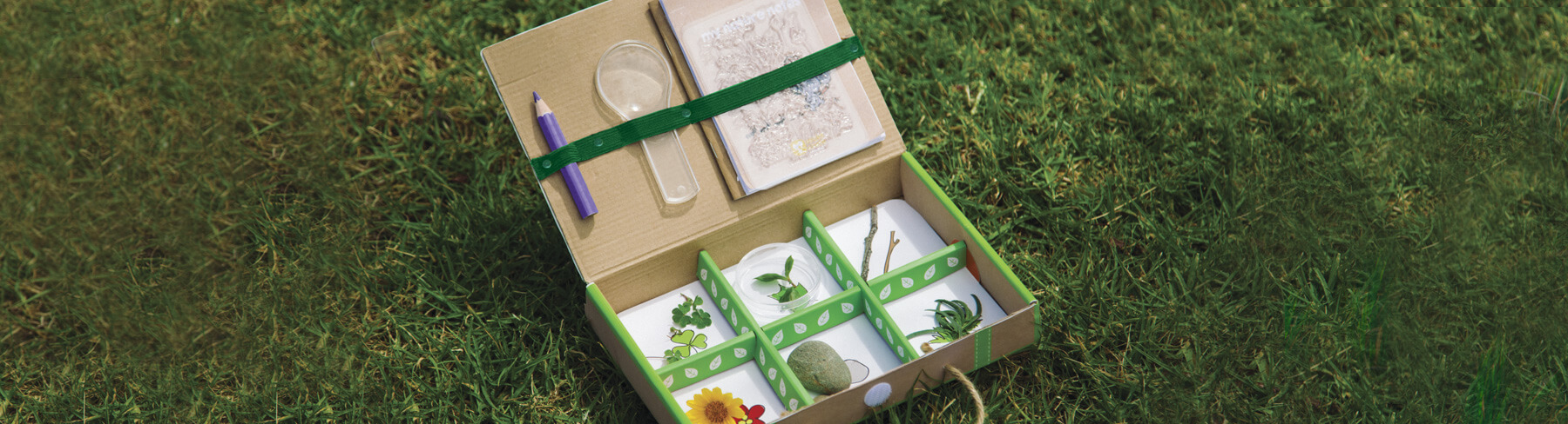 Koala Crate The Nature Crate